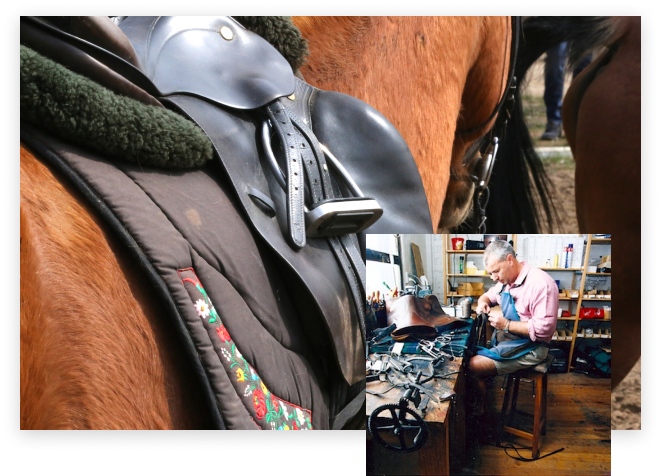 Premium Quality Horse Shop |Equine Saddlery | Forbes & Co.